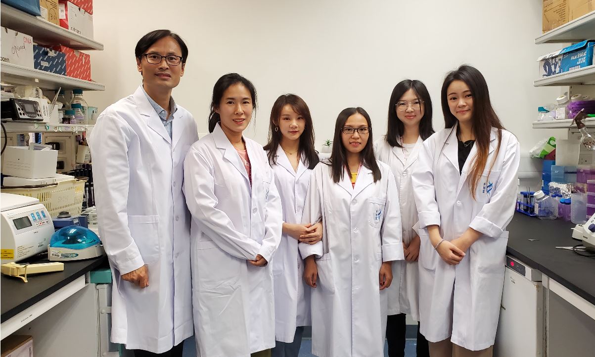 UM researchers discover new drug targets for lung cancer treatment ...