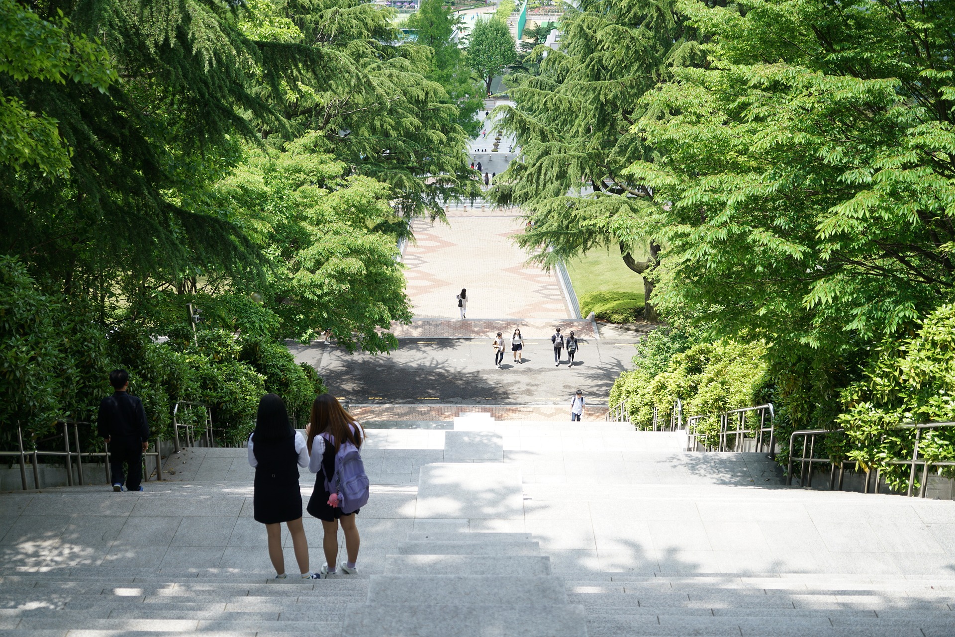 Government, universities look to international students - AppliedHE ...