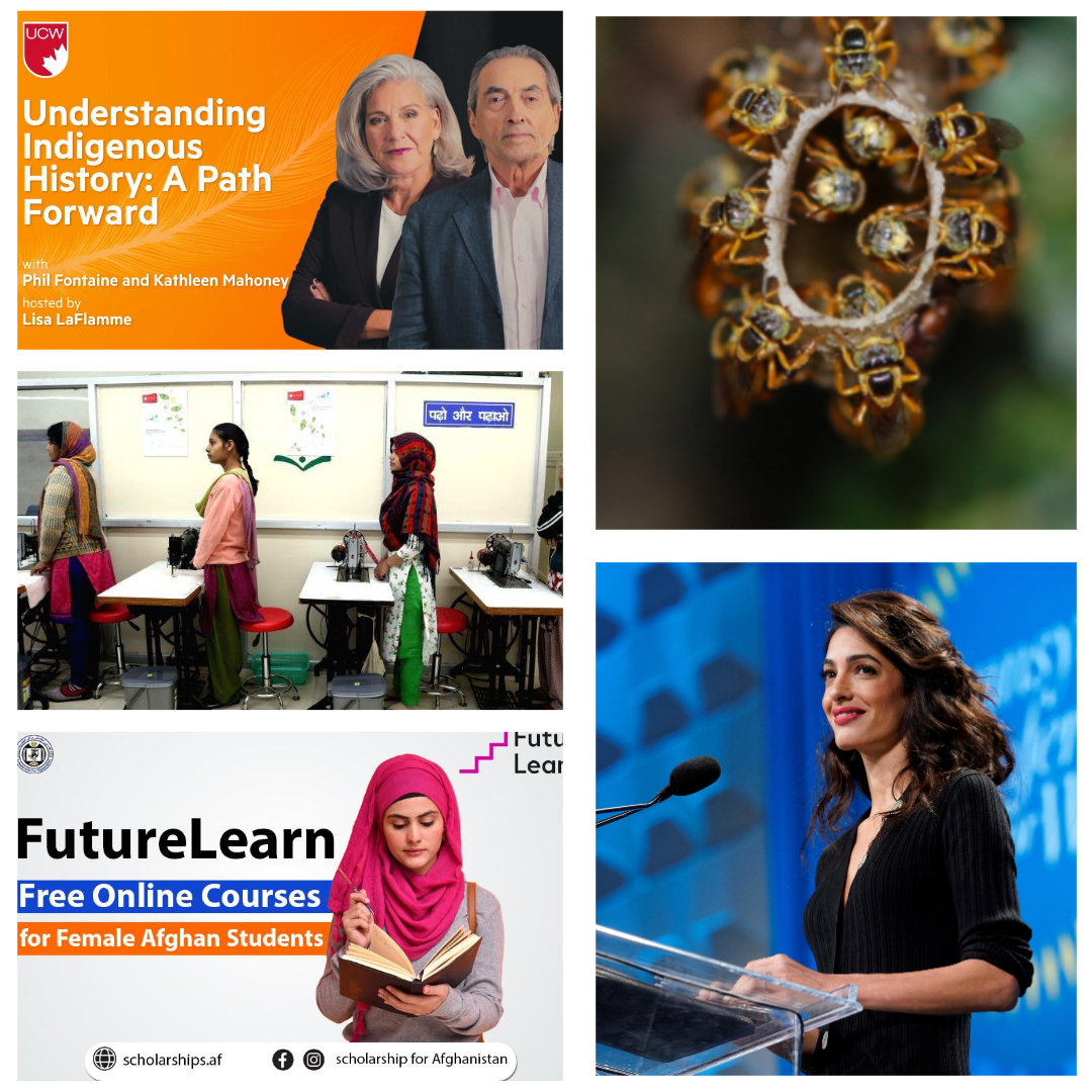 Global University Systems Releases 2024 Sustainability Report ...