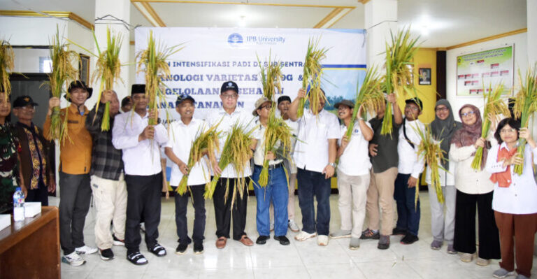 Implementation of IPB 9G Rice to Address 100 Hectares of Dry Land in ...