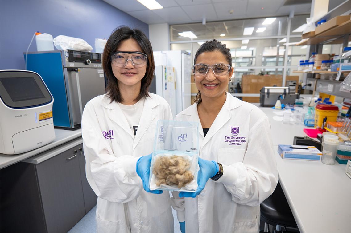 Chemical-Free Solutions for Effective Flystrike Control in Sheep ...